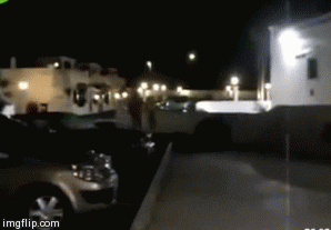 Page Front GIF - Find & Share on GIPHY