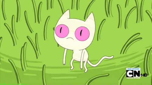 Me Mow Adventure Time GIF - Find & Share on GIPHY