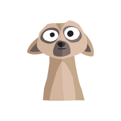 Zoo Meerkat Sticker for iOS & Android | GIPHY
