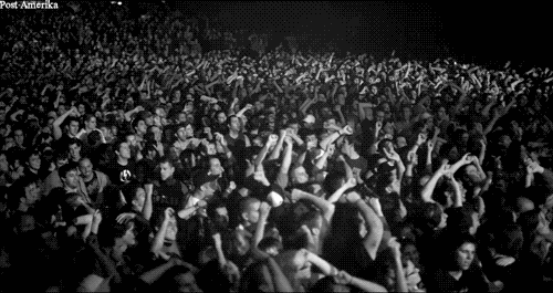 Concert GIF - Find & Share on GIPHY