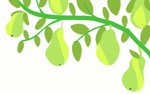 Grow Fruit Tree GIF by eloessi - Find & Share on GIPHY