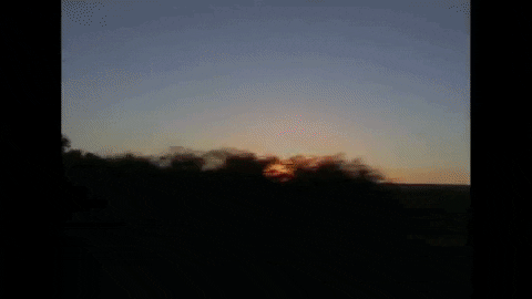 Sunset Driving GIF by Mallrat - Find & Share on GIPHY