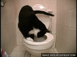 Toilet GIF - Find & Share on GIPHY