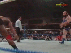 Wwf GIF - Find & Share on GIPHY