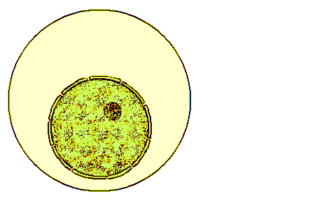 Cell GIF - Find & Share on GIPHY