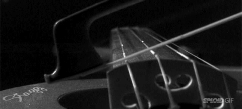Violin GIF - Find & Share on GIPHY