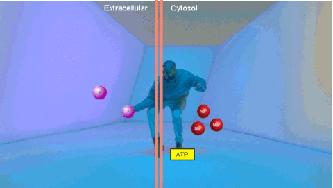 Active Transport GIFs - Get the best GIF on GIPHY