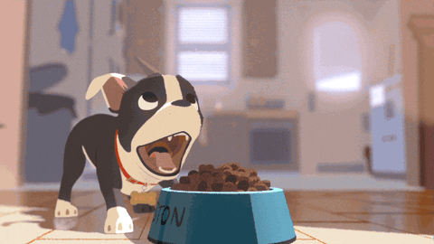 Walt Disney Animation Studios Feast GIF by Disney - Find & Share on GIPHY