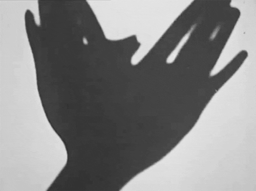 Hand Shadows GIFs - Find & Share on GIPHY