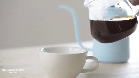 Coffee Tea GIF by The Barista League - Find & Share on GIPHY
