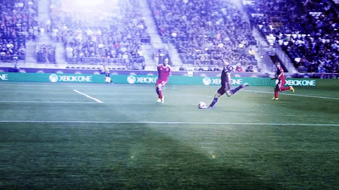 Soccer Mls GIF by Philadelphia Union - Find & Share on GIPHY
