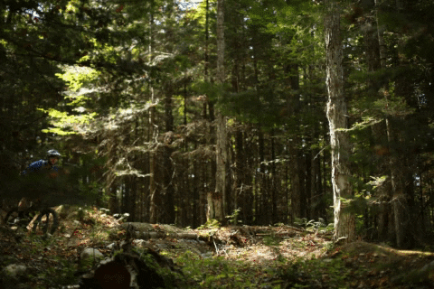 Jumping Mountain Bike GIF by PureADK - Find & Share on GIPHY