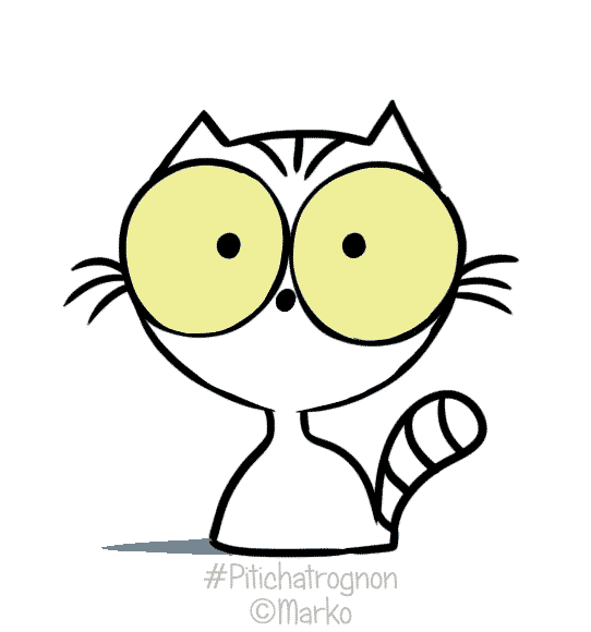 Cat Blinking GIF by marko - Find & Share on GIPHY