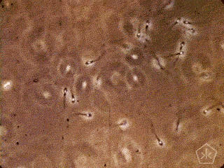 Open Knowledge Footage GIF - Find & Share on GIPHY