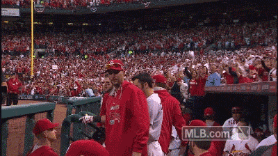 St. Louis Cardinals Baseball GIF by MLB - Find & Share on GIPHY