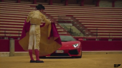 Exotic GIFs - Find & Share on GIPHY