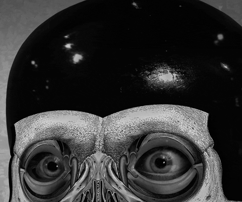 Art Mask GIF by Colin Raff - Find & Share on GIPHY