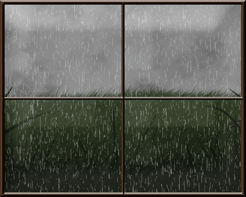 Rainy Day GIF - Find & Share on GIPHY