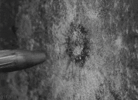 Bullet GIF - Find & Share on GIPHY