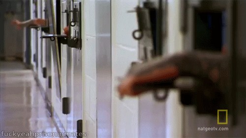 Prisoners GIF - Find & Share on GIPHY