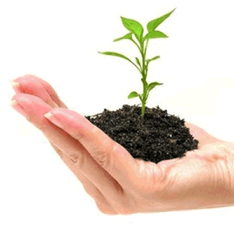 Growth GIF - Find & Share on GIPHY