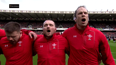 GIF by Guinness Six Nations - Find & Share on GIPHY