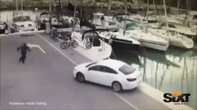 GIF by Sixt - Find & Share on GIPHY