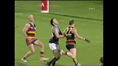 Afl Memories GIF by Adelaide Crows - Find & Share on GIPHY