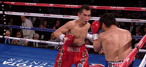 Boxing GIF - Find & Share on GIPHY
