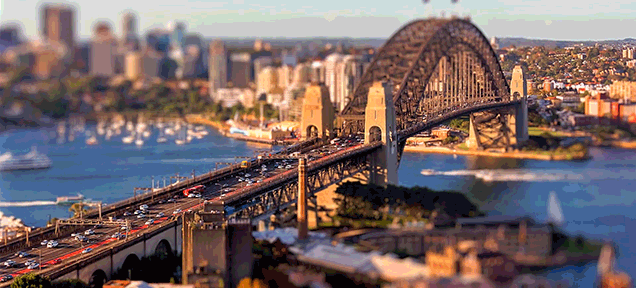 Sydney GIF - Find & Share on GIPHY