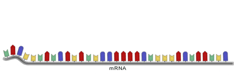 Lost In Translation GIFs - Find & Share on GIPHY