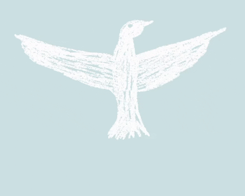 Love And Peace Bird GIF by Barbara Pozzi - Find & Share on GIPHY