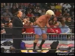 Ric Flair GIF - Find & Share on GIPHY