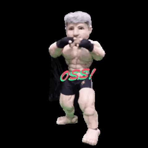 Mma Oss GIF by SFTMMA - Find & Share on GIPHY