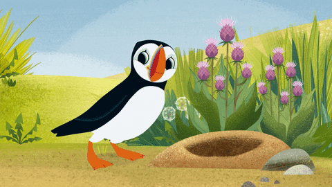 #Puffinrock #Puffin #Rock #Papa #Jump #Spiky #Sore #Bum GIF by Puffin ...
