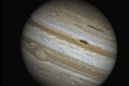 Head Jupiter GIF - Find & Share on GIPHY