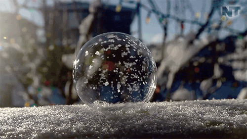 Netflix Winter GIF by NowThis - Find & Share on GIPHY