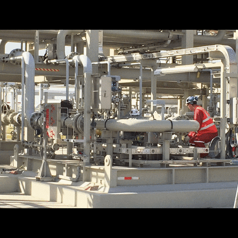 Safety GIF by Shell - Find & Share on GIPHY