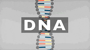 Life Dna GIF - Find & Share on GIPHY