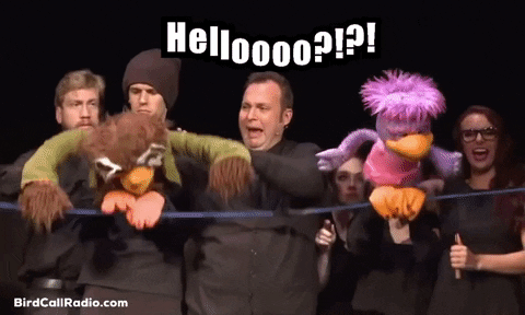 Owl Hello GIF - Find & Share on GIPHY