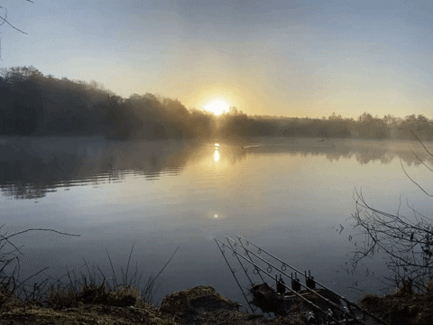 Carpparticlesuk GIF - Find & Share on GIPHY