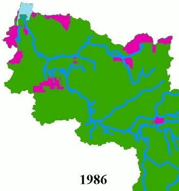 Ecology GIF - Find & Share on GIPHY