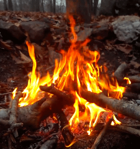 Fire GIFs - Find & Share on GIPHY
