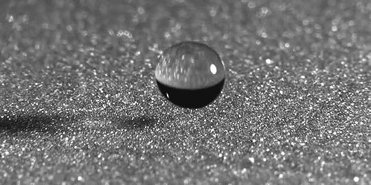 Silver Lane Studio GIFs - Find & Share on GIPHY