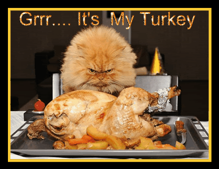 Turkey Day GIF - Find & Share on GIPHY