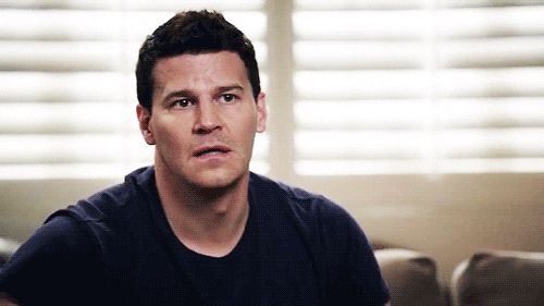 Seeley Booth Bones Find And Share On Giphy