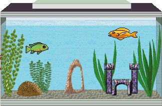 Fish Tank GIF - Find & Share on GIPHY