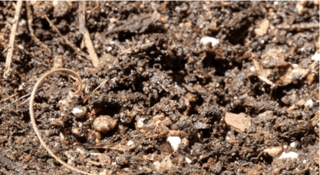 Earth This Is Awesome GIF - Find & Share on GIPHY