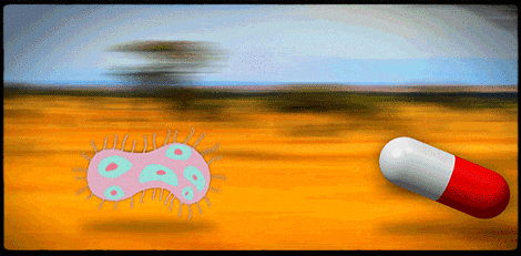 Bacteria GIF - Find & Share on GIPHY