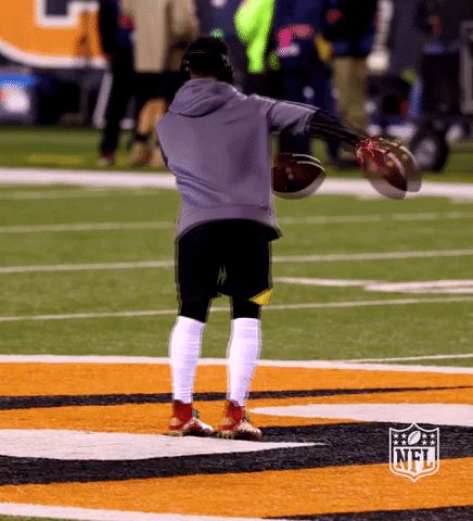Regular Season Dancing GIF by NFL - Find & Share on GIPHY